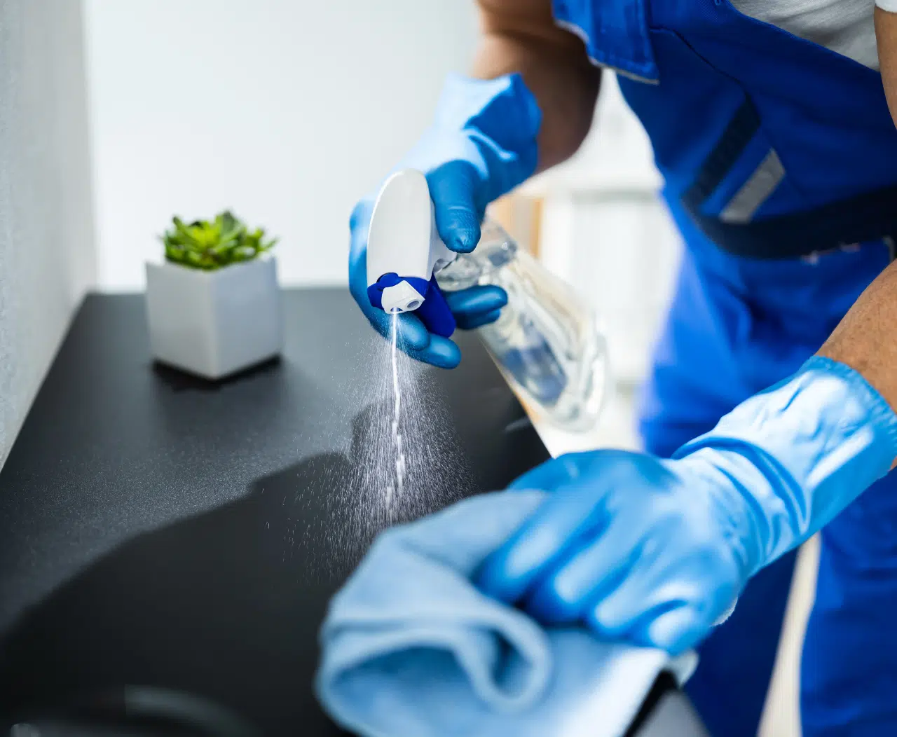 Cleaners Near Me | House Cleaning Services